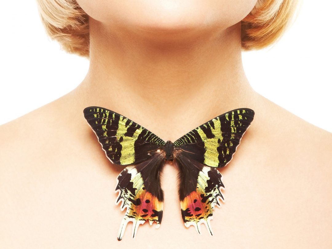 Your Thyroid: The Butterfly that Helps Your Body - Optimal Health Insider