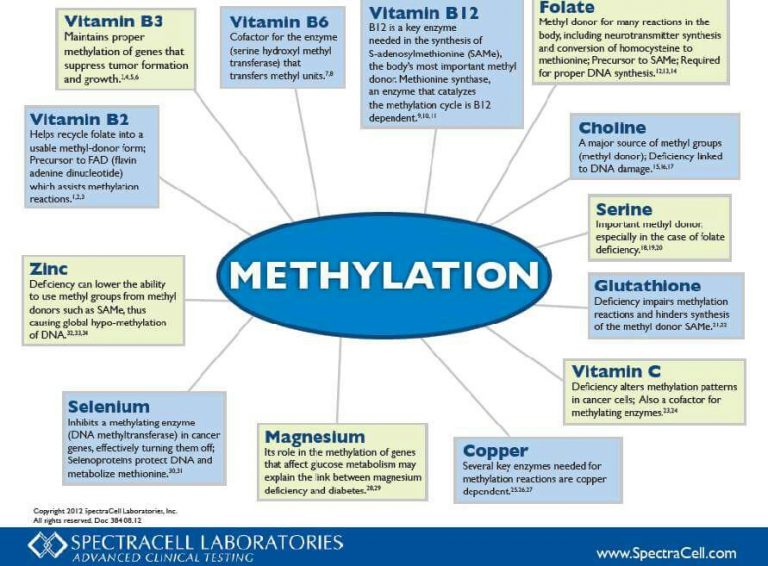 Why Methylation Matters When It Comes to Heart Health - Optimal Health ...