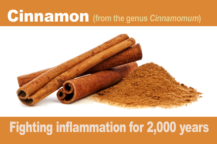 Cinnamon's antioxidant, anti-inflammatory properties can help fight ...