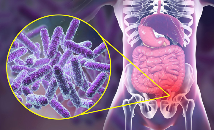 What do people who live past 100 have in common? Healthy guts with ...